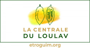 LA CENTRALE DU LOULAV - ETROG. - Etroguim, Loulavim,Etrog de Calabre ...